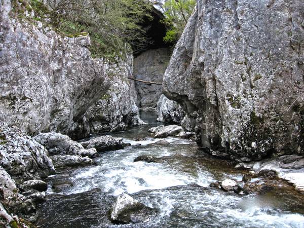 Il fiume Reka con affluenti - Le associazioni di pescatori Bistrica ...