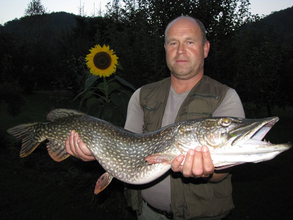 Reka Reka s pritoki - Ribiška družina Bistrica - Spletni nakup ...