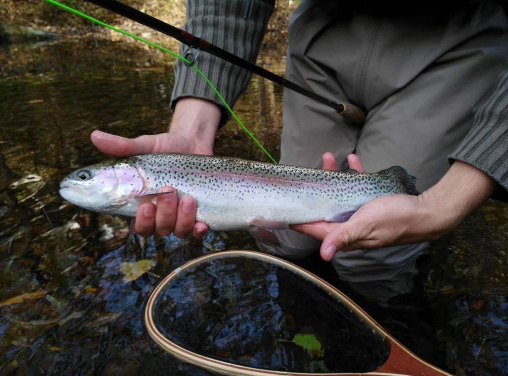 Reka Selška Sora (od soteske Konjski brod do Okornevega jezu nad ...
