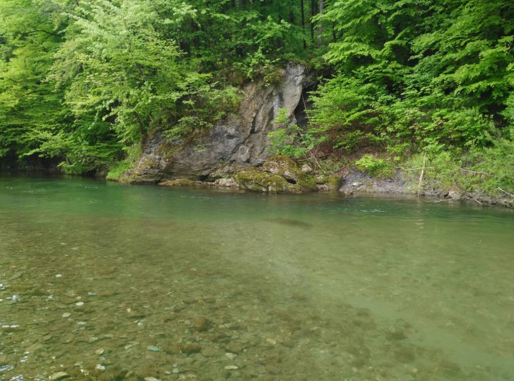 Reka Selška Sora (od soteske Konjski brod do Okornevega jezu nad ...