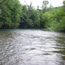 Reka Vipava (Od otoka pod vasjo Selo do železniškega mostu v Prvačini ...